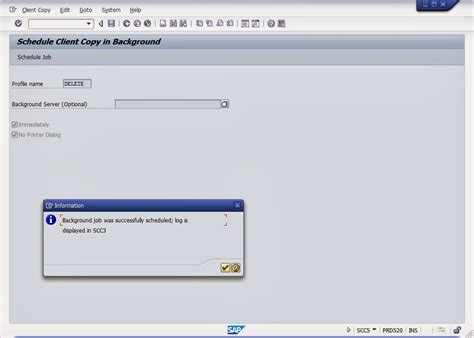 2 Monitor The Process From Tcode Scc3