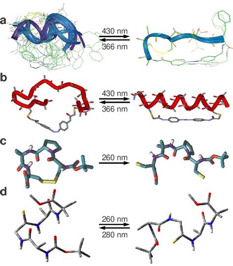 Figure 1 From Two Dimensional Infrared Spectroscopy Of Photoswitchable Peptides Semantic Scholar