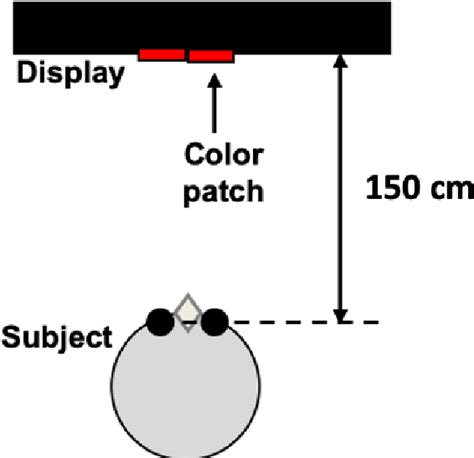 Figure 2 From Color Matching Consideration On The Effect Of Iprgc For Color Reproduction On