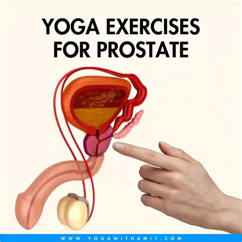 News Yoga With Amit Australia Easy Yoga Workouts Effective Workout