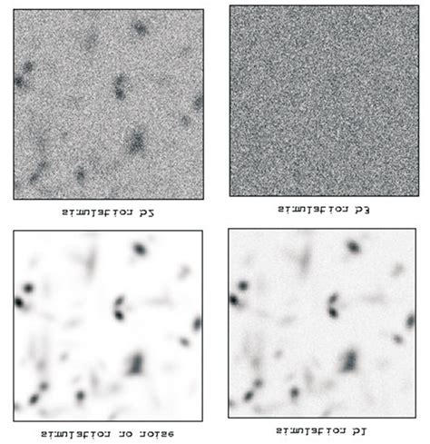 The Simulated Images Used For The Tests By Lexicographic Order