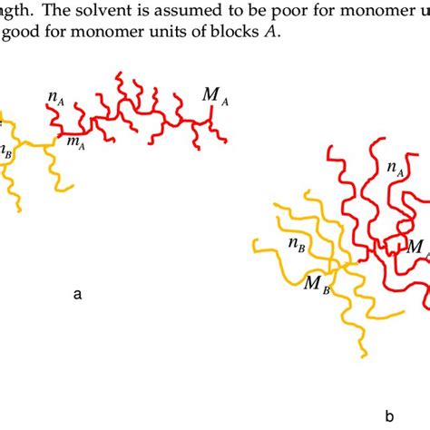 Schematics Of Bottlebrush A And Miktoarm Star B Diblock Copolymer Download Scientific