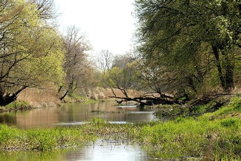 Riparian Buffer Ecosystem Services Webinar Massachusetts Forest Alliance