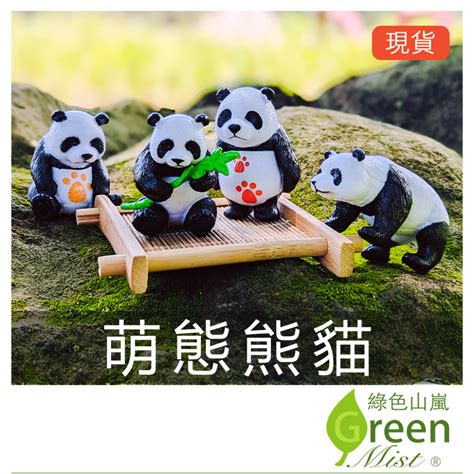 萌態熊貓 辦公室療癒 治癒系 貓熊擺飾 熊貓擺飾 賣萌動物 微景觀 包養貓 盆栽裝飾 療癒【綠色山嵐 蝦皮購物