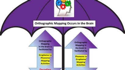Orthographic Mapping Phoneme GraphemeMapping Com