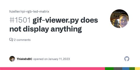  Viewerpy Does Not Display Anything · Issue 1501 · Hzellerrpi Rgb