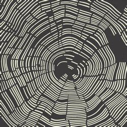 Tree Rings Royalty Free Vector Image VectorStock