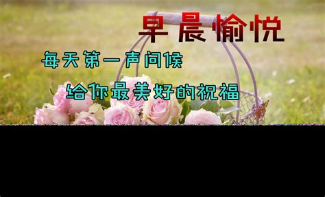 咏柳唐贺知章的古诗怎么写（一二年级贺知章的古诗赏析） We生活