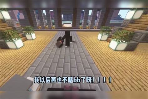我的世界假如说出的话要负责为兄弟两肋插刀