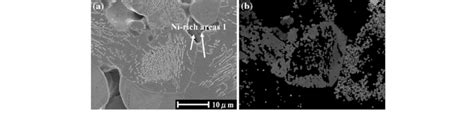 Ebsd Mapping Showing Ferrite Bright Area In The Ni Rich Area 1 About