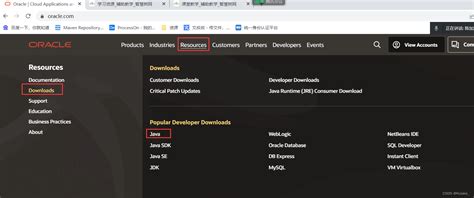 Java学习java语言概述 java语言介绍 CSDN博客