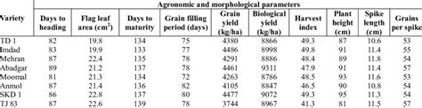 Average Agronomic And Morphological Performance Of Wheat Cultivars Download Scientific Diagram