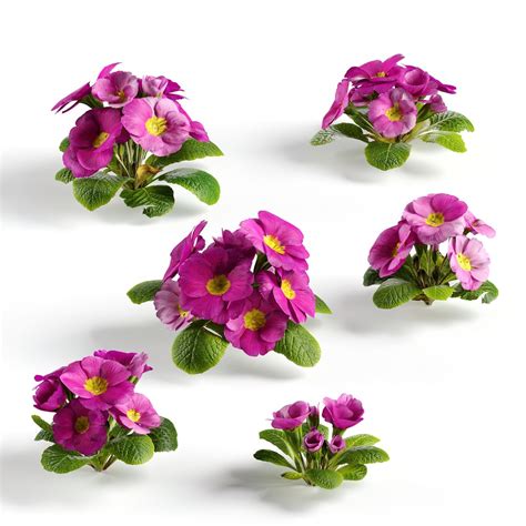 3d Archmodels Vol 252 Model Turbosquid 1764134