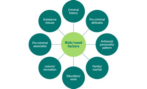 Risk Need Responsivity Russell Webster