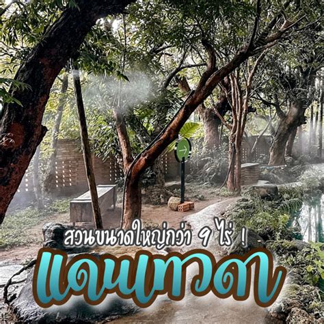 อยากรีวิว 🌳แดนเทวดา🎍🪨 แม่แตง