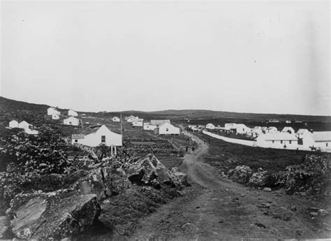 Molokai Leper Colony And Father Damien The Blog Of Teresa