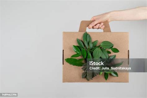 녹색 잎 새싹이 있는 천연 재활용 재료로 만든 카드 상자를 들고 있는 여자 책임감 있는 소비 친환경 포장 및 폐기물 제로 개념에