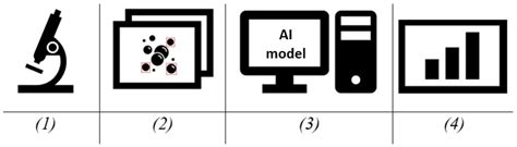 Sergey Veremeenko Property Size