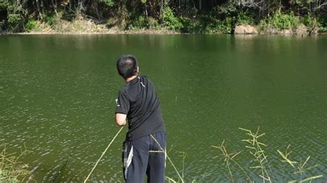 44岁了，我从没想过在csdn创作2年，会有这么大收获 csdn创作收入曝光 csdn博客