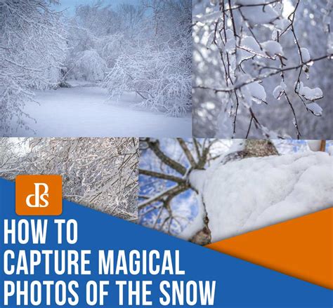 12 Snow Photography Tips How To Capture Magical Snow Shots