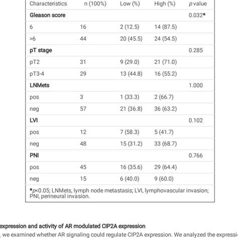 Expression Of Cip2a In Bph And Pca Tissues Download Scientific Diagram