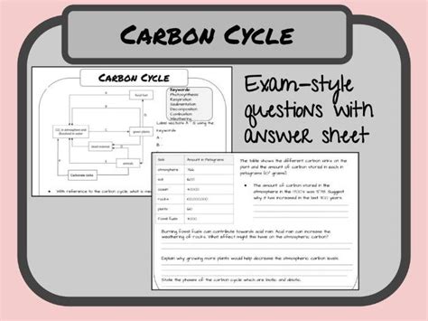 The Carbon Cycle Teaching Resources