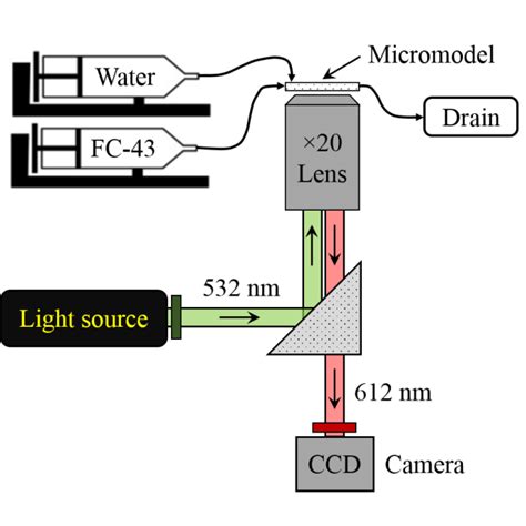 Microscope Setup And Instrumentation Download Scientific Diagram