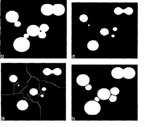 Figure 1 From Particle Size And Shape Analysis Using Imagej With
