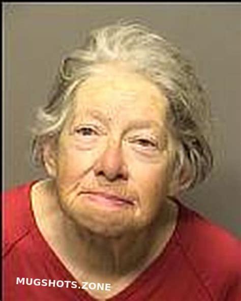 Blum Janet Kay 11 24 2023 Porter County Mugshots Zone