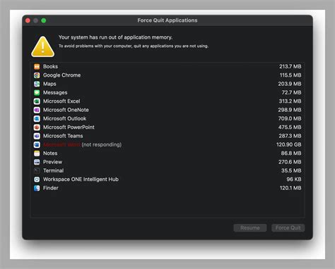Insane Memory Leak R Softwaregore