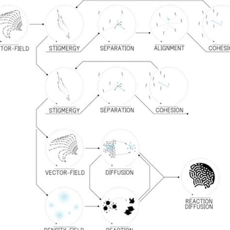 Relationship Diagram Among Algorithm Steps Download Scientific Diagram