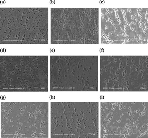 Sem Photos Of The Modified Surface Of Different Samples A Sample 1