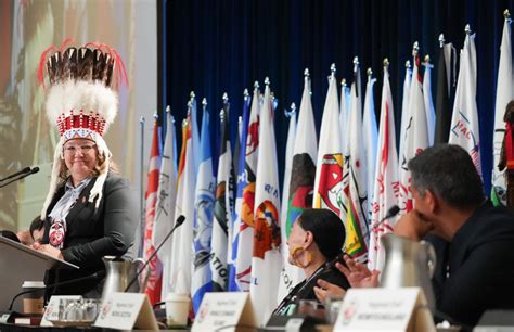 Afn Calls For Independent Inquiry Into Killings Of Four Indigenous