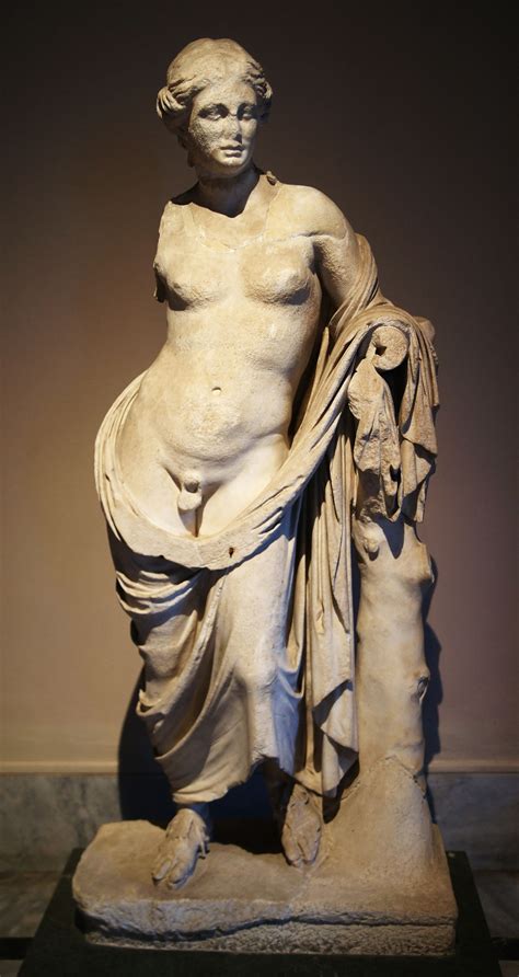 Hermafrodita Wikipedia Entziklopedia Askea