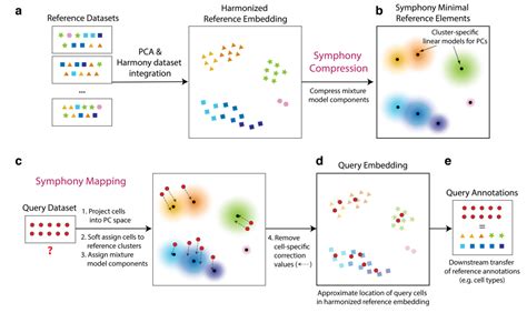 Automatic Cell Type Identification Methods For Single Cell Rna Sequencing 二十一世纪是生命科学的