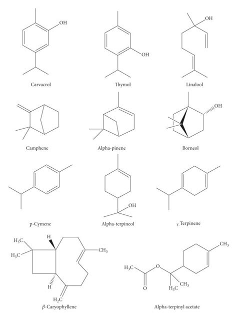Chemical Structure Of The Main Terpenoids Identified In T Satureioides
