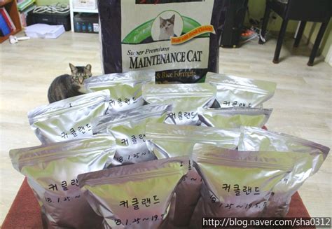 코스트코 고양이 사료 대용량 사료 소분 밀봉 보관방법 네이버 블로그