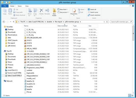 Tsd File Import Ddi Documentation