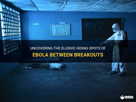 Uncovering The Elusive Hiding Spots Of Ebola Between Breakouts Medshun