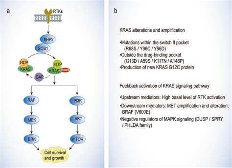 Targeting Kras Mutant Cancers From Druggable Therapy To Drug