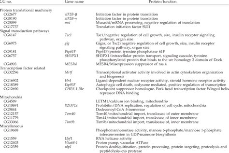 Genes Required For Hypoxia Induced Inhibition Of Protein Translation In
