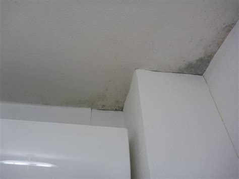 【埼玉県新座市】天井コンクリート直張り壁紙結露カビ ブログ 埼玉の防カビ工事なら「有限会社プレモ」