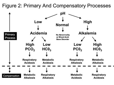Arterial Blood Gas Results