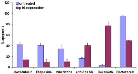 P16INK4A Expression Differentially Affects The Sensitivity Of T ALL