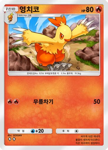 포켓지지 포켓몬 카드게임 Tcg