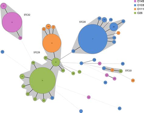 Minimum Spanning Tree Mst Calculated With Bionumerics Version 71