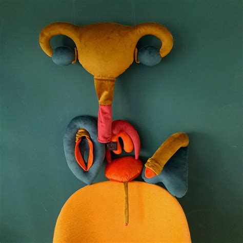 Sex Education Set Sex Therapy Tools Vulva 20 Clitoris Uterus Bladder And Penis Pillow Set