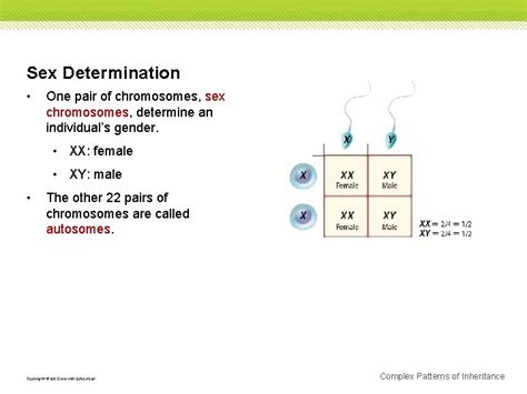 Section 1 Basic Patterns Of Human Inheritance The