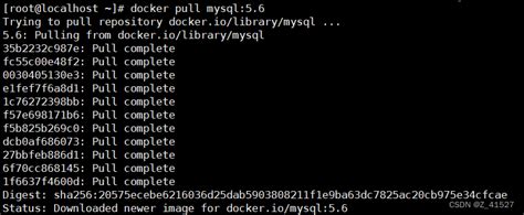 docker搭建个人网盘、私有仓库 docker 本地网盘 csdn博客