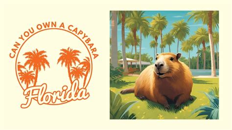 Capybara Facts Capybara Mag